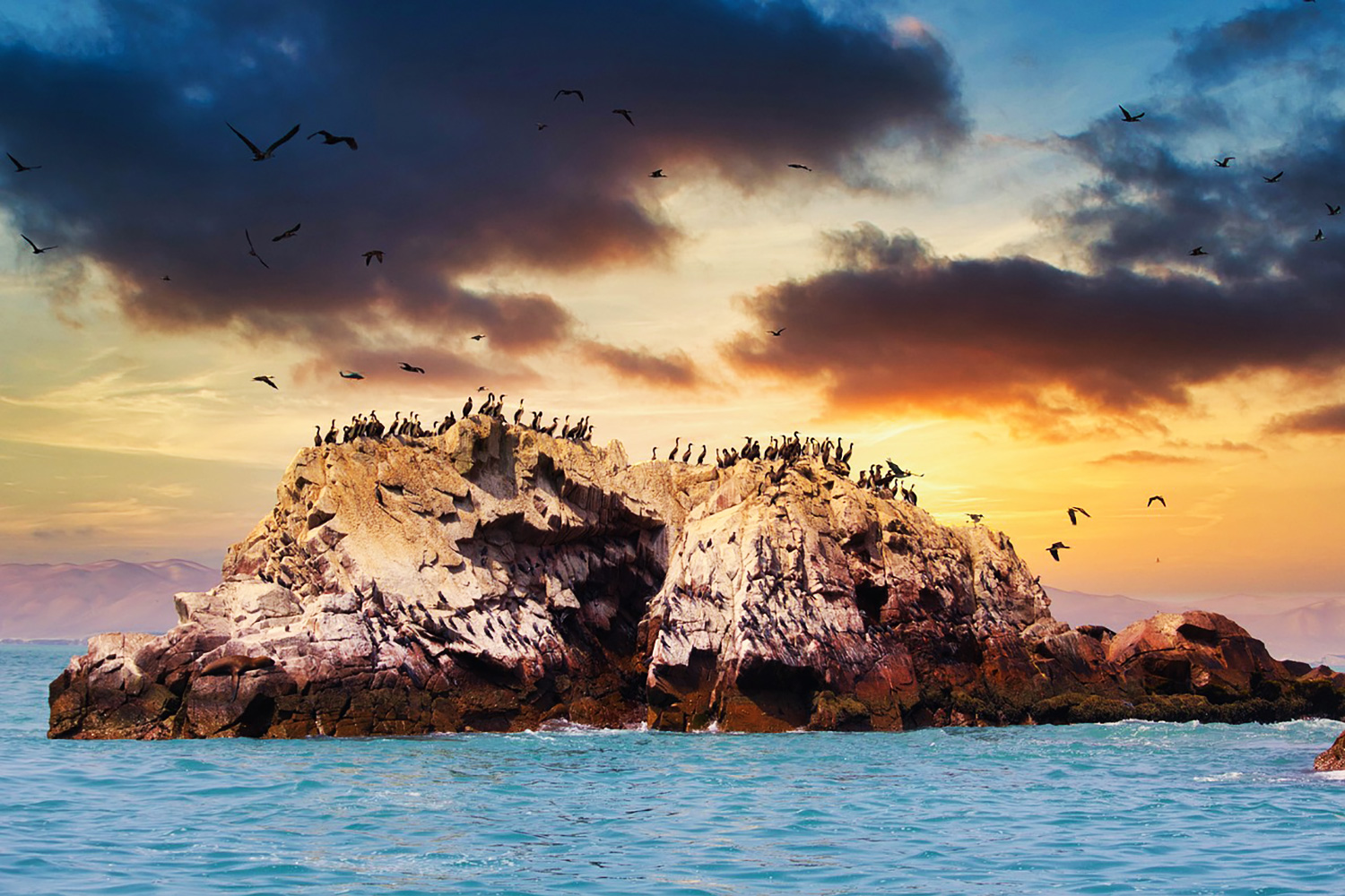 Paracas - Ballestas Islands "Peruvian Galapagos" - Peru Machupicchu Tours