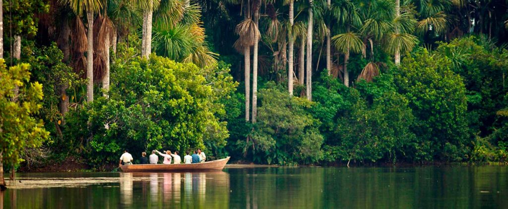 Amazon Rainforest - The Biodiversity Capital of the World - Peru ...