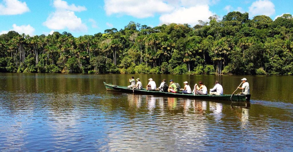 Amazon Rainforest - The Biodiversity Capital of the World - Peru ...